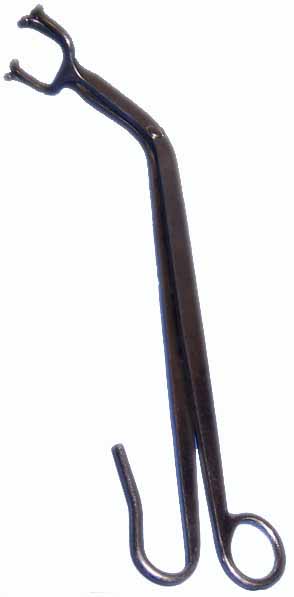 Medical : Museum : University of Dundee